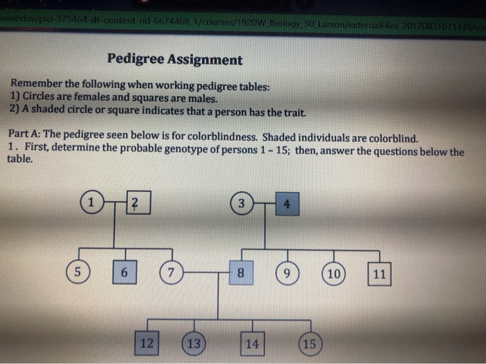 Solved First determine the probable genotype of persons | Chegg.com
