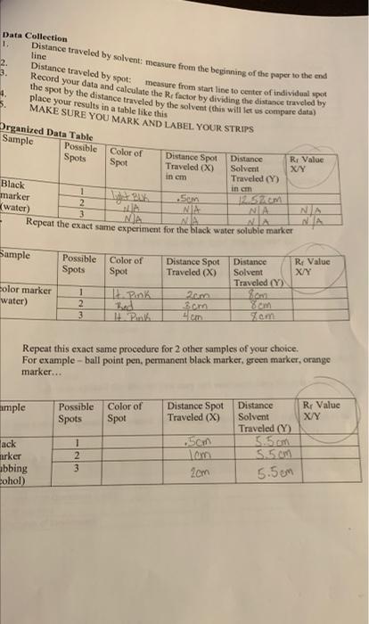 Solved Distance traveled by spot: Data Collection 1. | Chegg.com