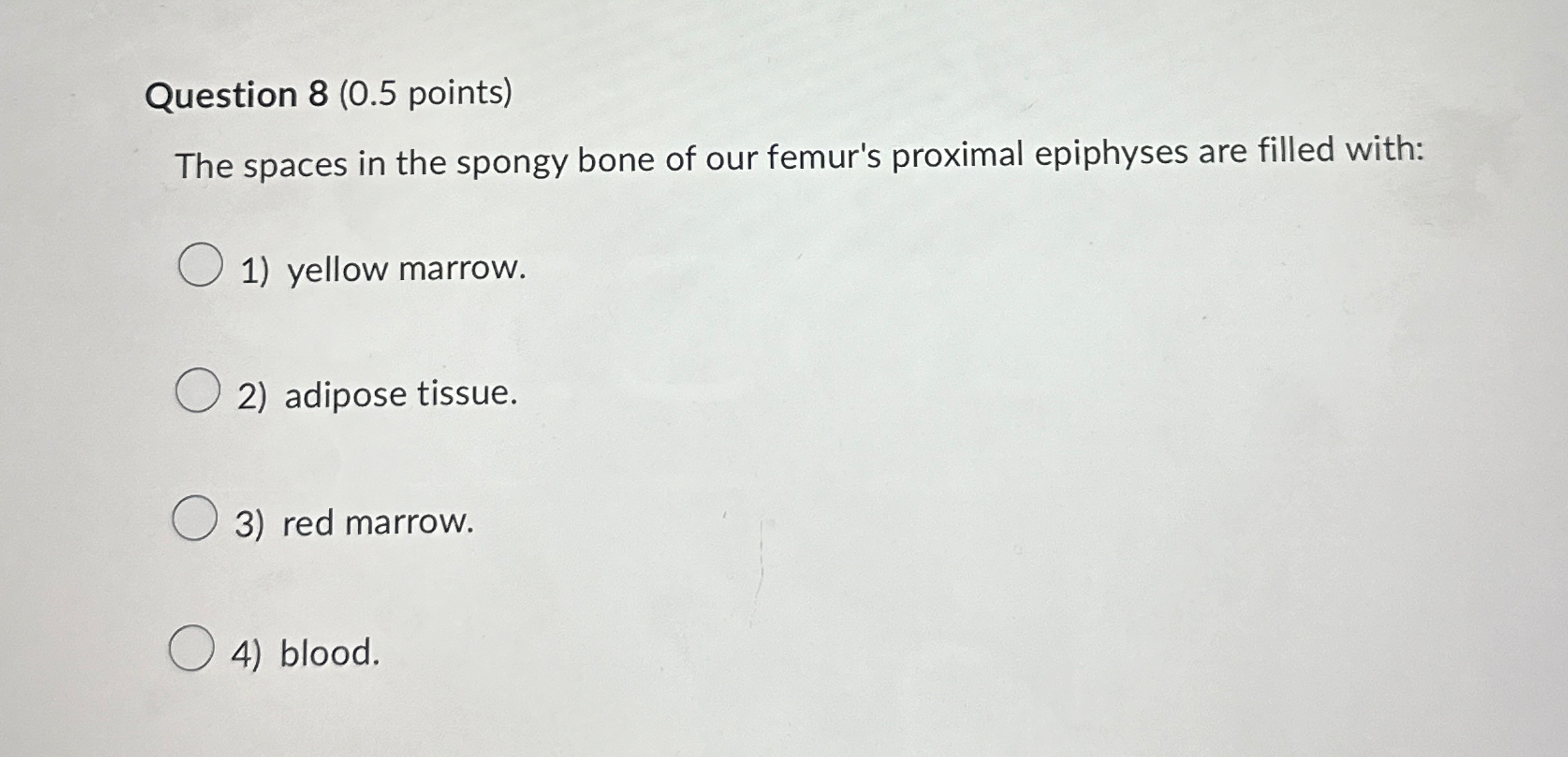 Solved Question 8 (0.5 ﻿points)The spaces in the spongy bone | Chegg.com