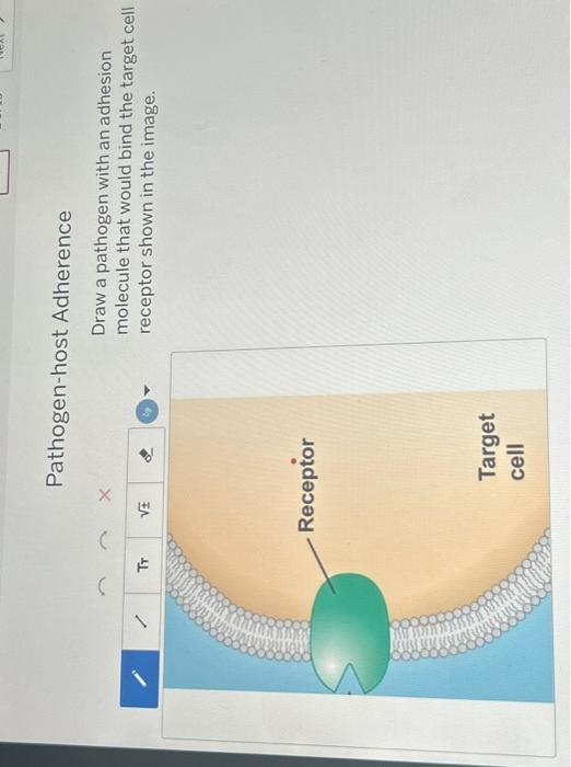 Solved Pathogen-host Adherence Draw a pathogen with an | Chegg.com