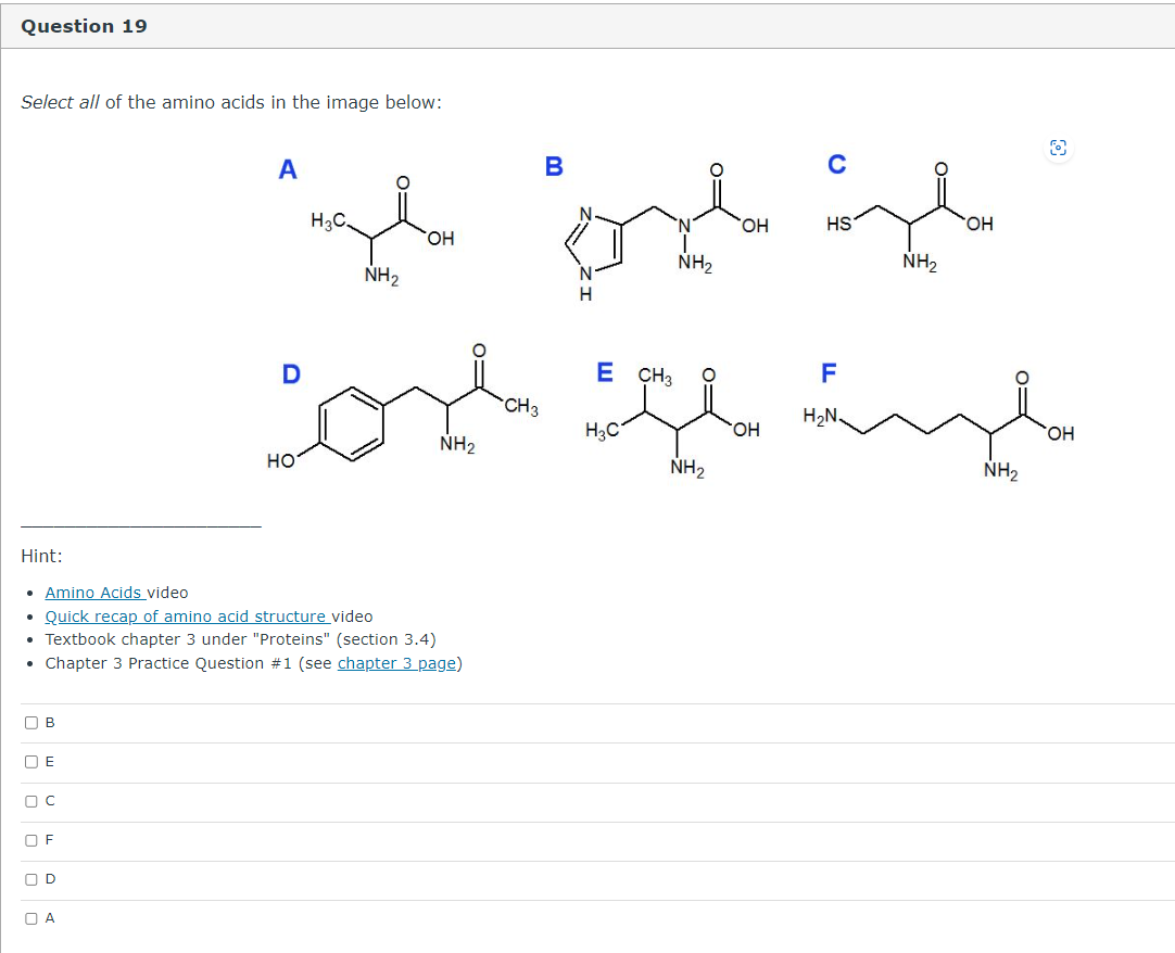Solved Select all of the amino acids in the image below: | Chegg.com