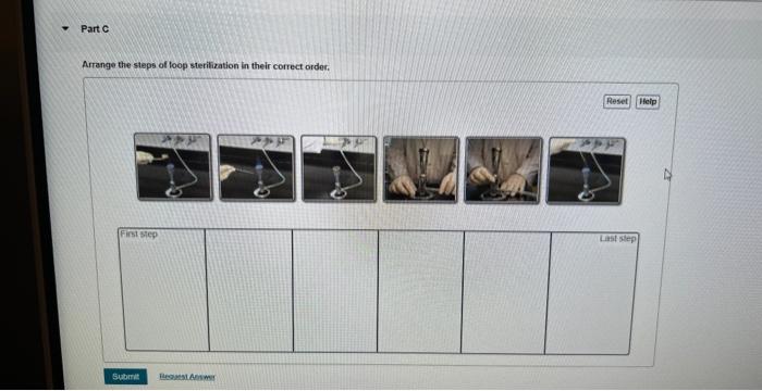 Solved i need help in arranging the steps of loop | Chegg.com