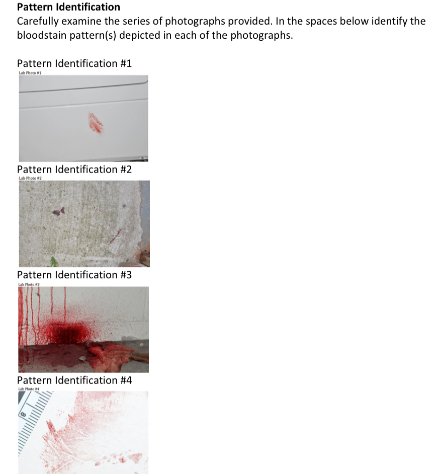 Pattern IdentificationCarefully examine the series of | Chegg.com