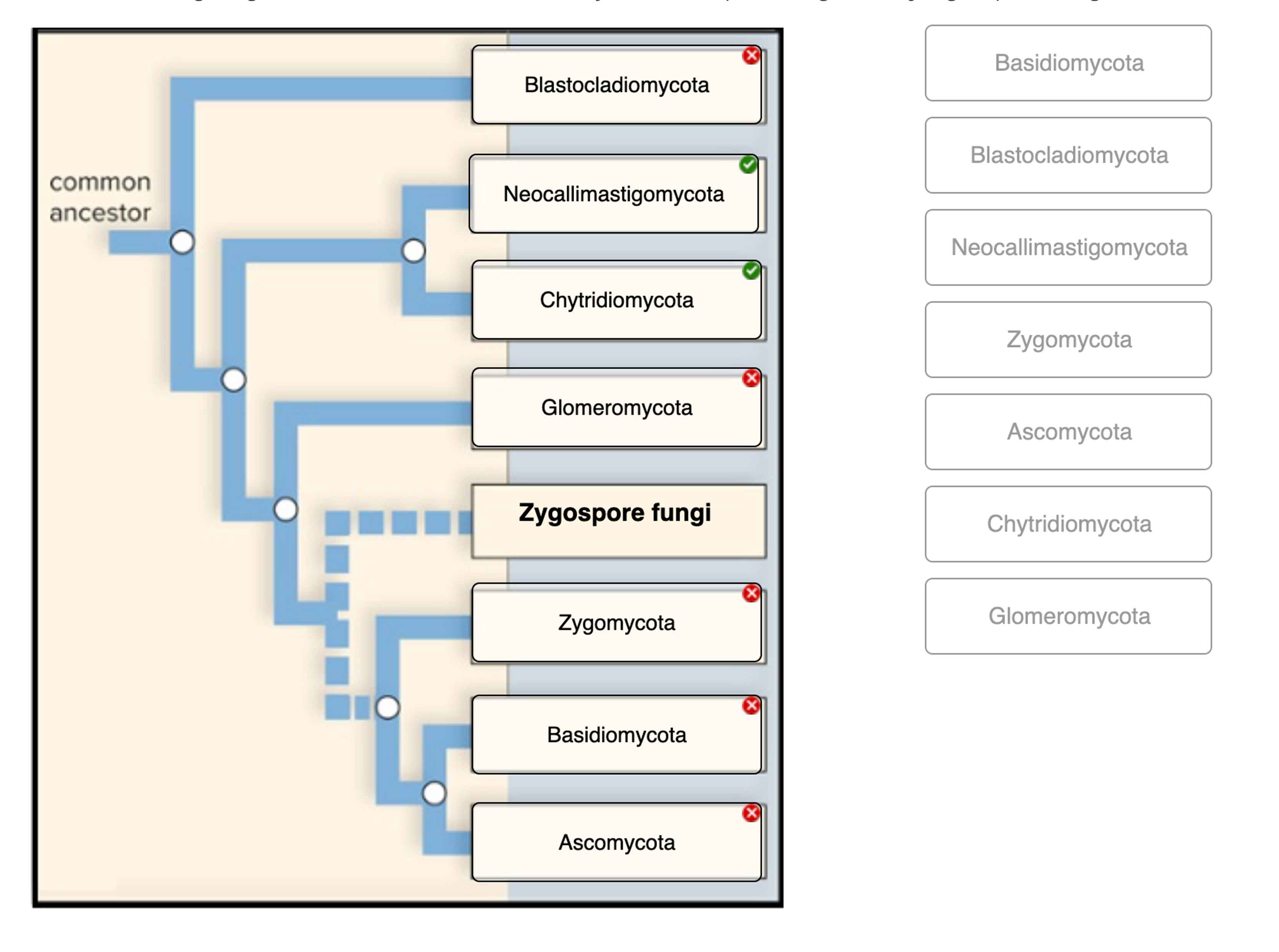 Solved Label the following diagram to describe the | Chegg.com