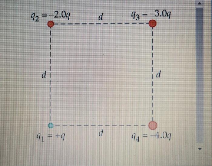 Solved Find the direction and magnitude of the net | Chegg.com