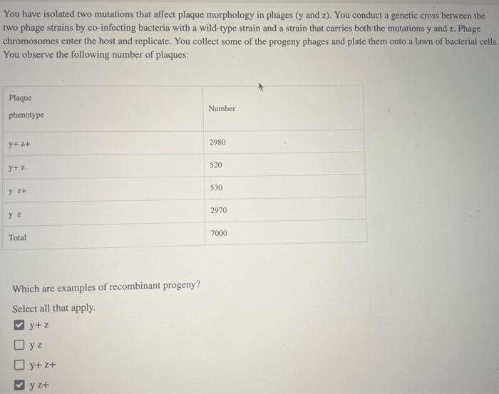 Solved You have isolated two mutations that affect plaque | Chegg.com