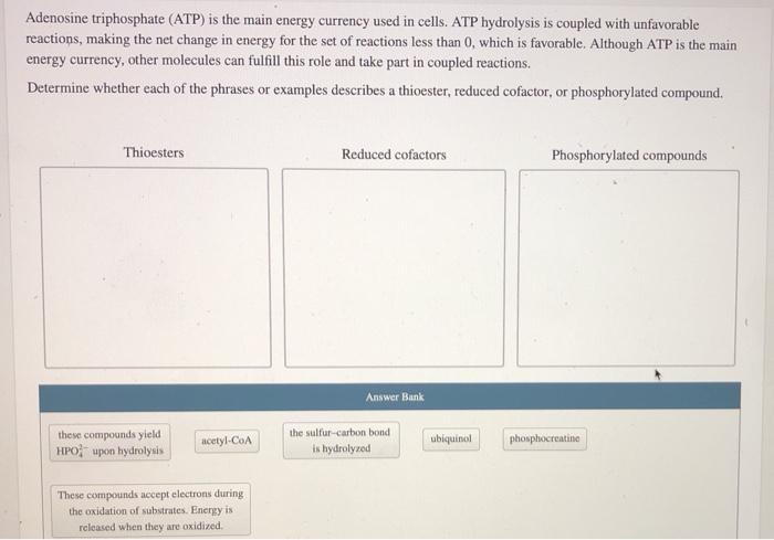 Solved Adenosine triphosphate (ATP) is the main energy | Chegg.com