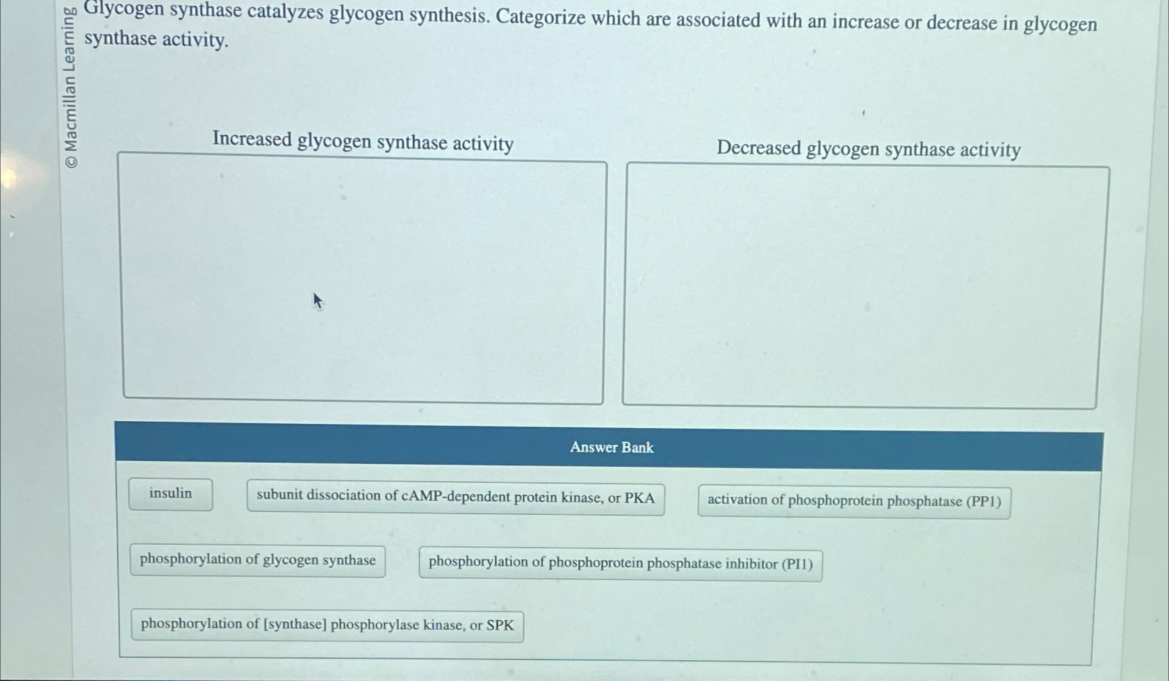 Solved Glycogen synthase catalyzes glycogen synthesis. | Chegg.com