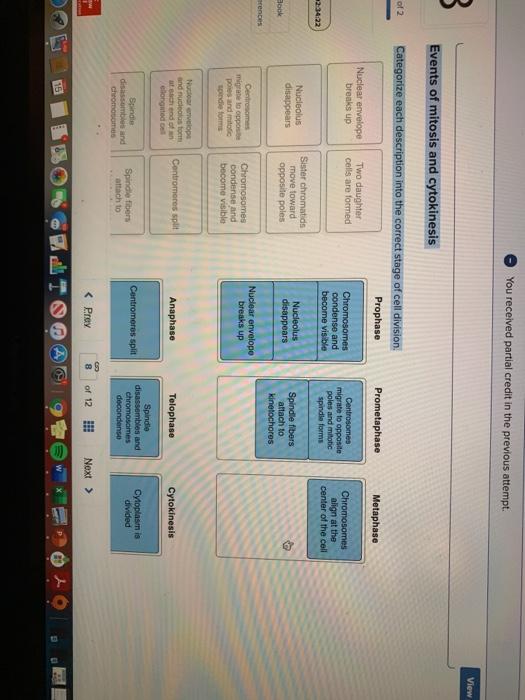 Solved Events of mitosis and cytokinesis. Categorize each | Chegg.com