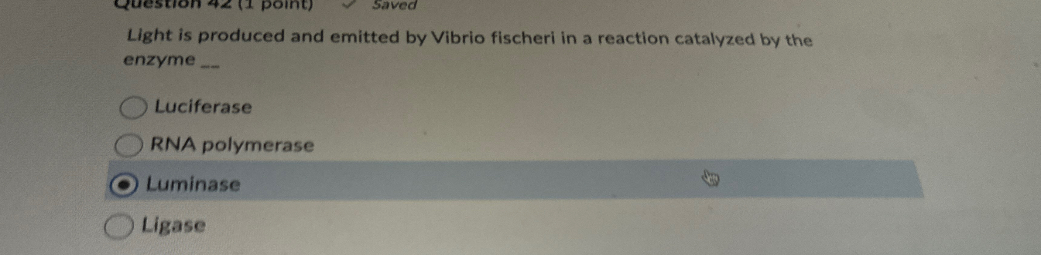 Solved Light is produced and emitted by Vibrio fischeri in a | Chegg.com
