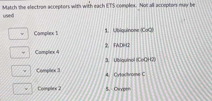 Solved Match the electron acceptors with with each ETS | Chegg.com