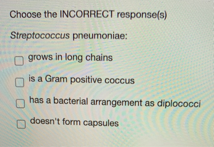 Solved Choose the INCORRECT response(s) Streptococcus | Chegg.com