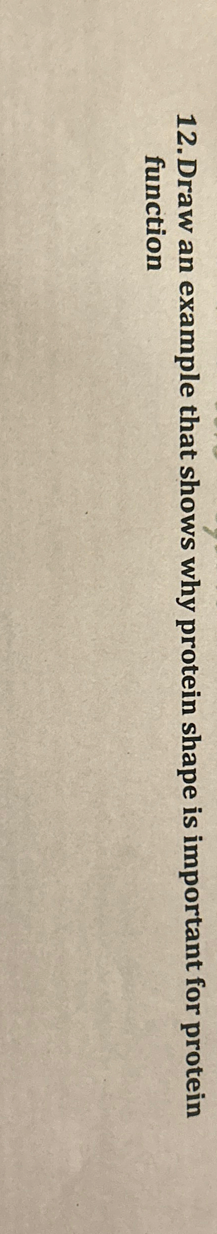 Solved Draw an example that shows why protein shape is | Chegg.com