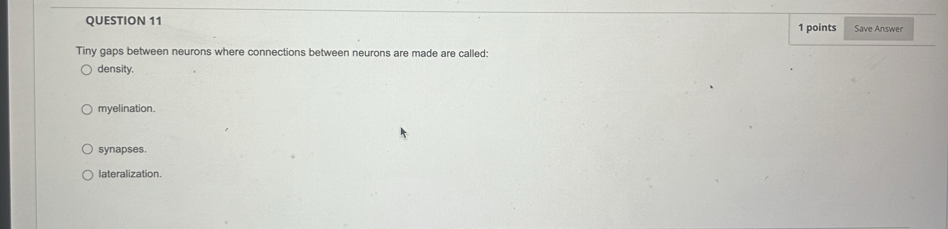 Solved QUESTION 111 ﻿pointsTiny gaps between neurons where | Chegg.com