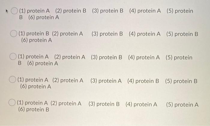 Solved Answer the following questions about the graph shown | Chegg.com