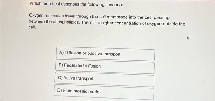 Solved Which term best describes the following scenario: | Chegg.com