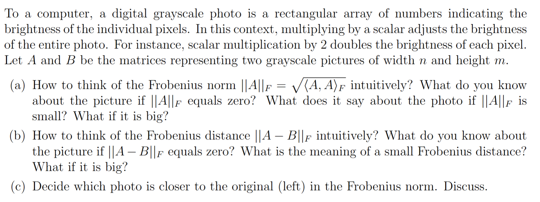 Solved To A Computer A Digital Grayscale Photo Is A