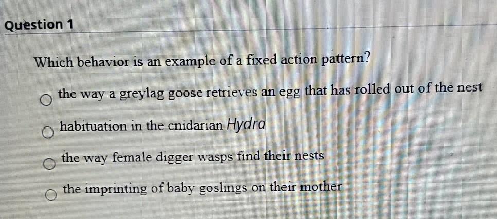 Solved Question 1 Which behavior is an example of a fixed | Chegg.com