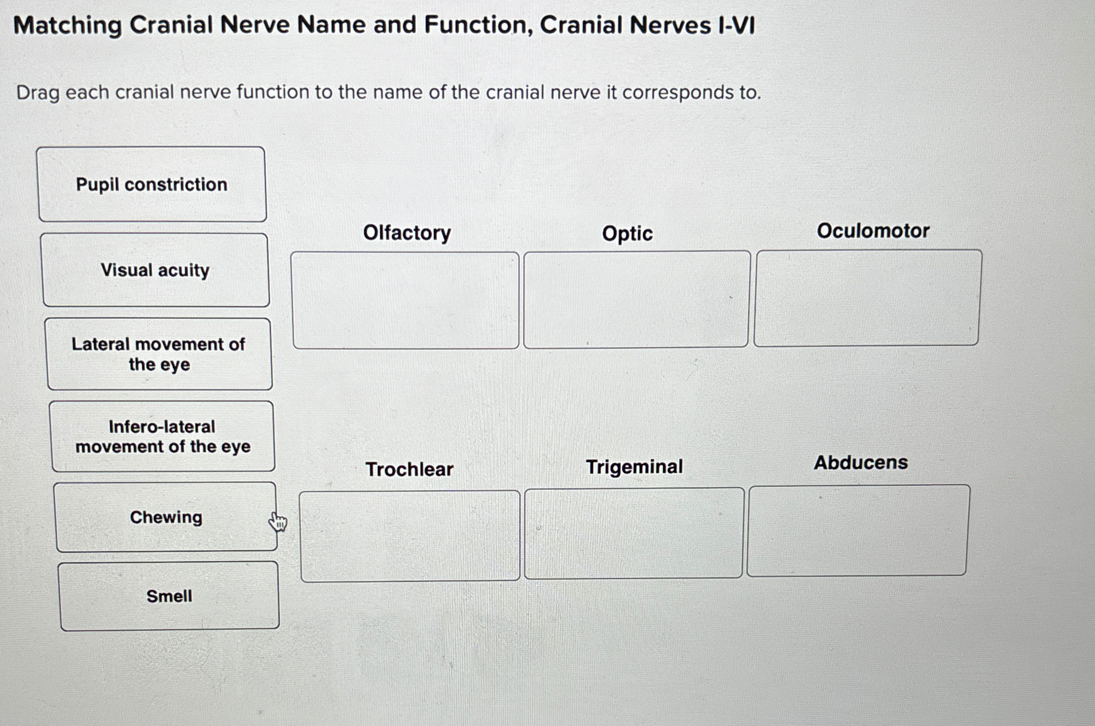 Solved Matching Cranial Nerve Name and Function, Cranial | Chegg.com