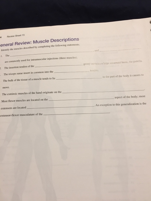 Solved 4 Review Shoot 15 eneral Review: Muscle Descriptions | Chegg.com