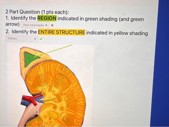 Solved 2 Part Question (1 pts each): 1. Identify the | Chegg.com