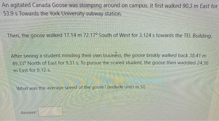 Solved An agitated Canada Goose was stomping around on | Chegg.com