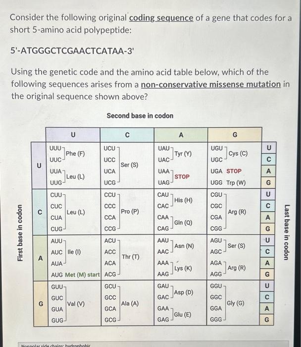 Solved Consider the following original coding sequence of a | Chegg.com
