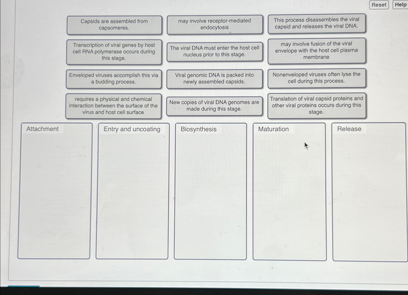 Solved HelpCapsids are assembled from | Chegg.com