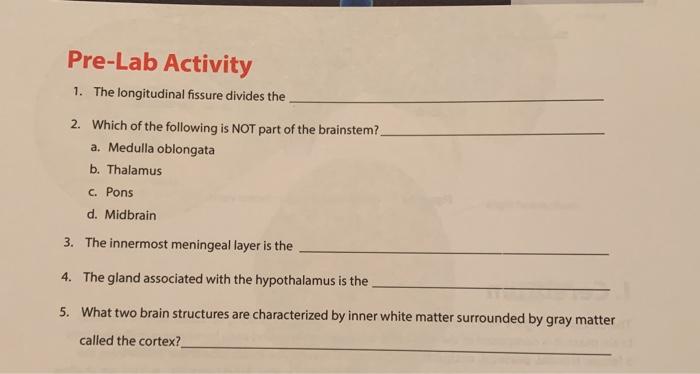 Solved Pre-Lab Activity 1. Identify the part of a neuron | Chegg.com Solved Pre-Lab Activity 1. Identify the part of a neuron | Chegg.com