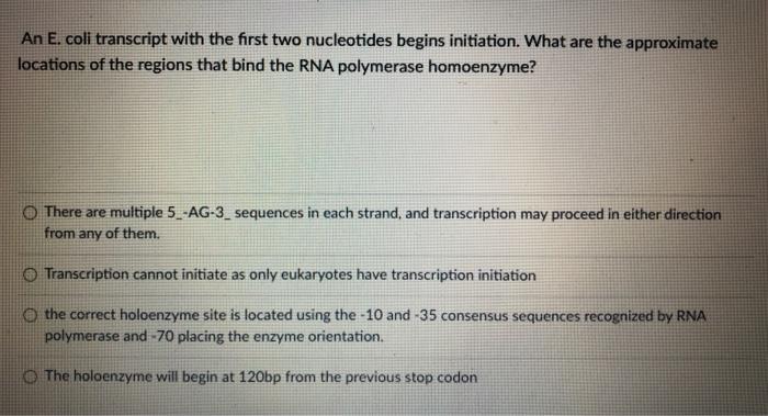 Solved An E. coli transcript with the first two nucleotides | Chegg.com