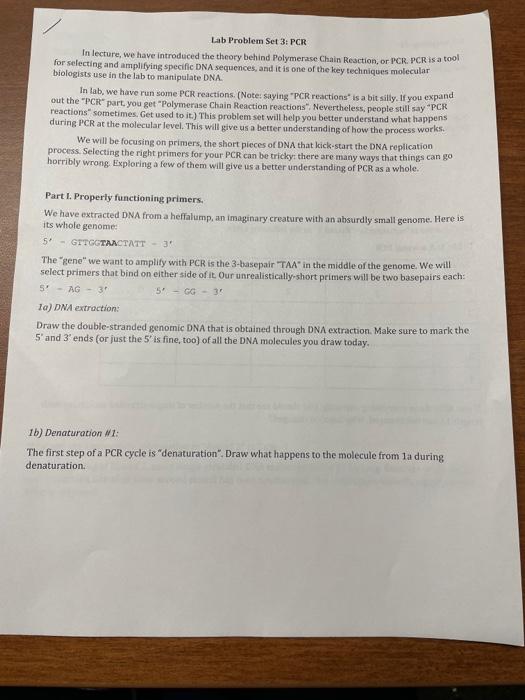 Solved Lab Problem Set 3: PCR In lecture, we have introduced | Chegg.com