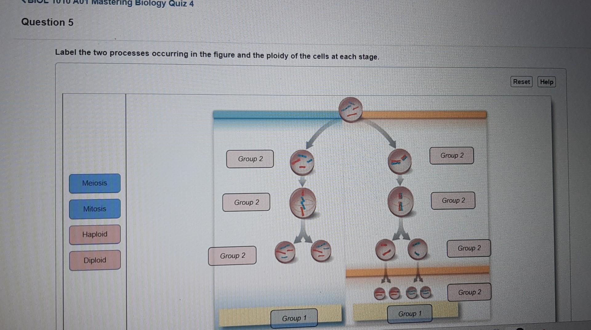 Solved Label the two processes occurring in the figure and | Chegg.com