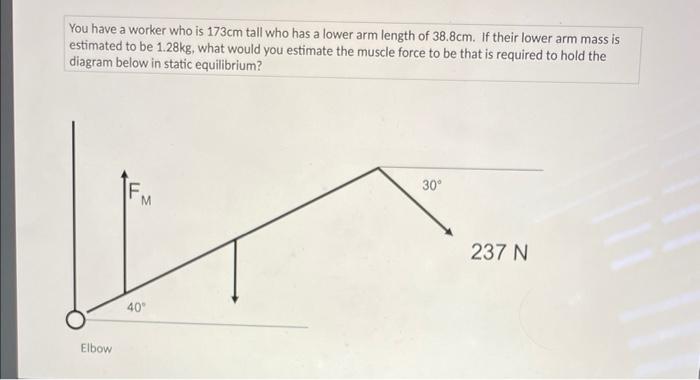 You have a worker who is 173 cm tall who has a lower | Chegg.com