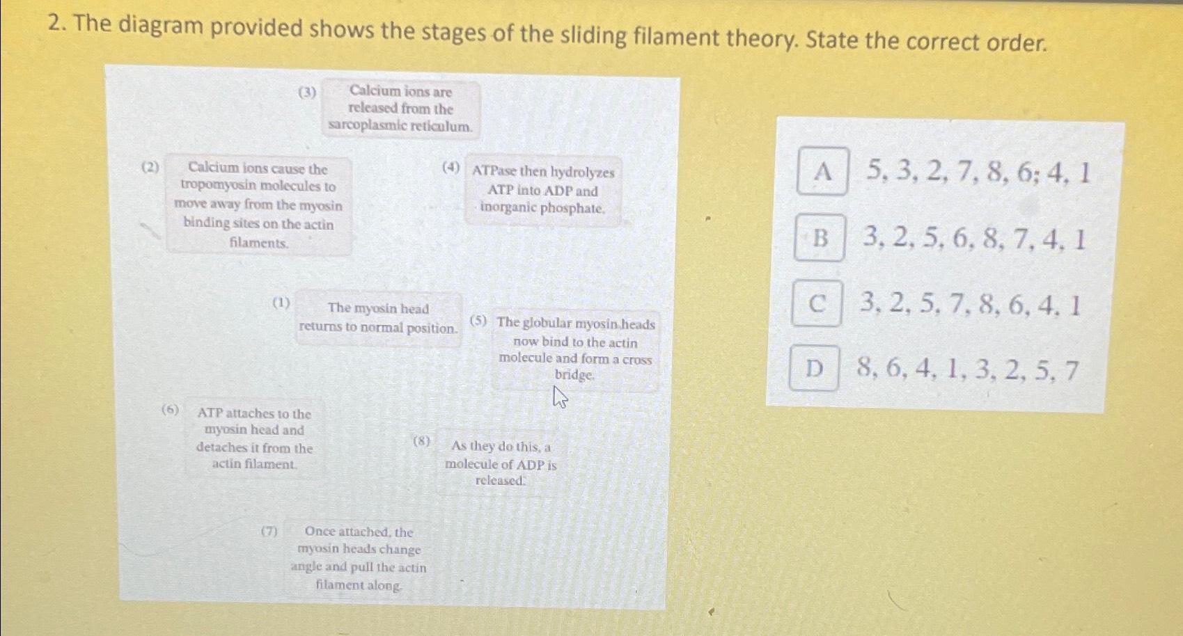 Solved The diagram provided shows the stages of the sliding | Chegg.com