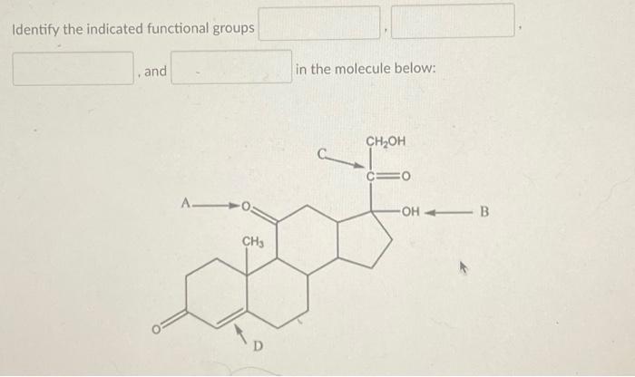 Solved Identify the indicated functional groups and in the | Chegg.com Solved Identify the indicated functional groups and in the | Chegg.com