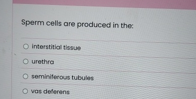 Solved Sperm cells are produced in the:interstitial | Chegg.com