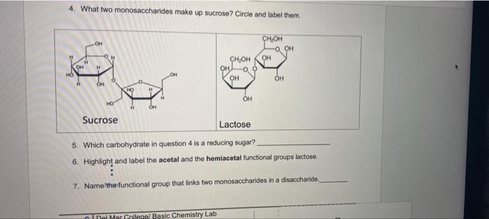 Solved 4. What two monosaccharides make up sucrose? Circle | Chegg.com