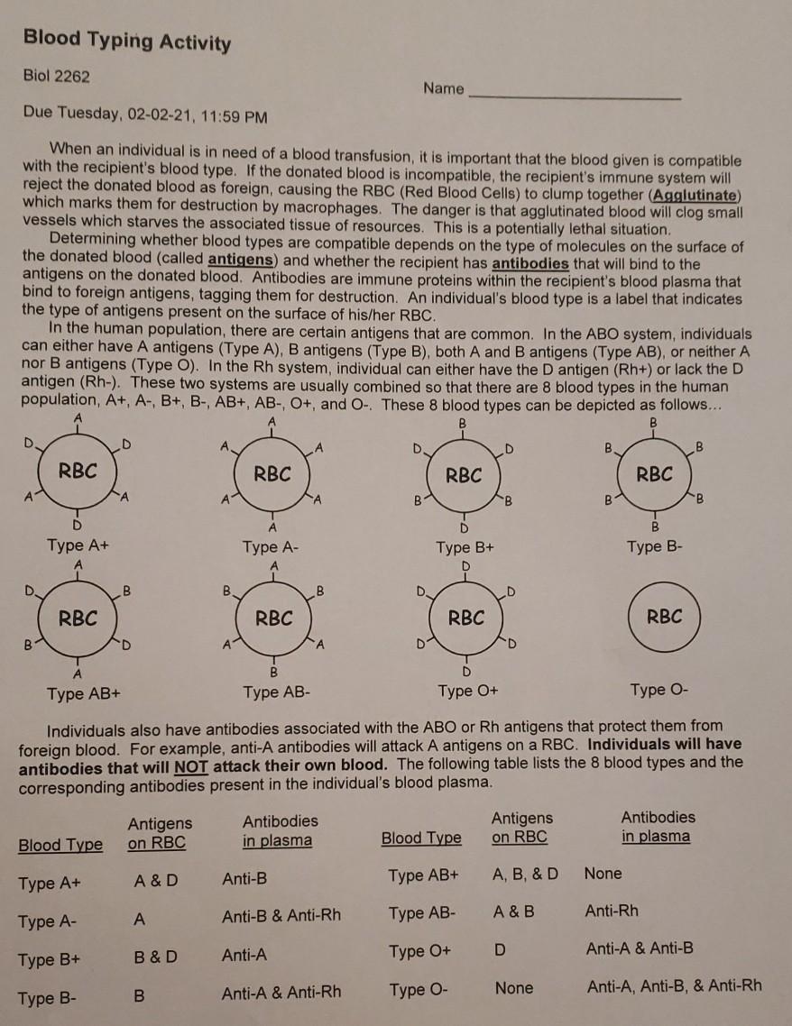 Blood Typing Activity Biol 2262 Name Due Tuesday, | Chegg.com