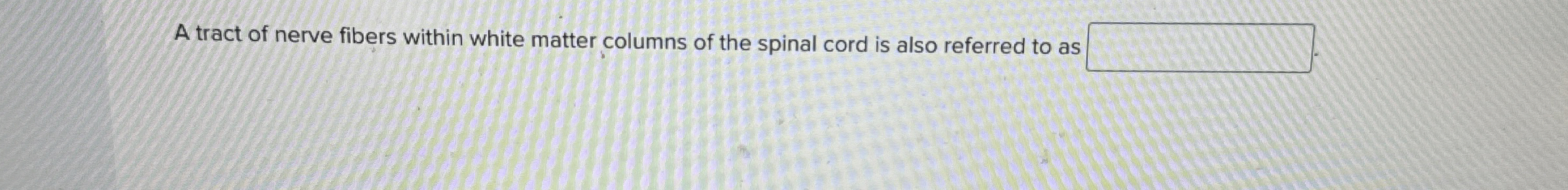 Solved A tract of nerve fibers within white matter columns | Chegg.com