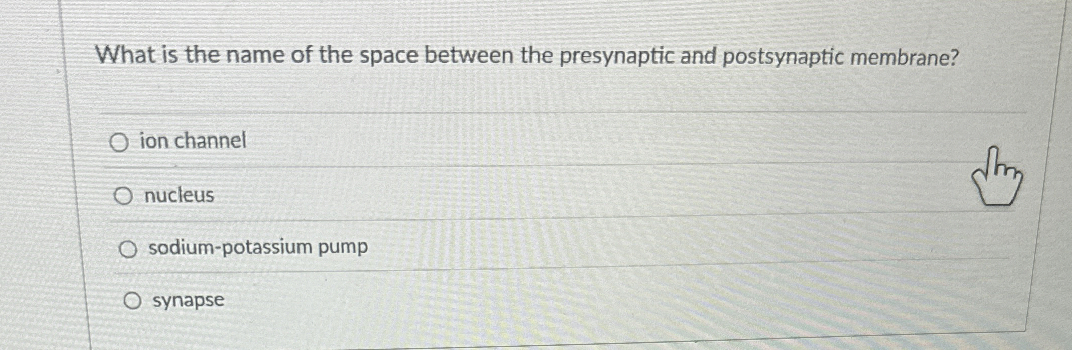 Solved What is the name of the space between the presynaptic | Chegg.com