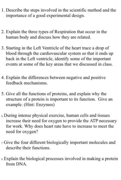 Solved 1. Describe the steps involved in the scientific | Chegg.com