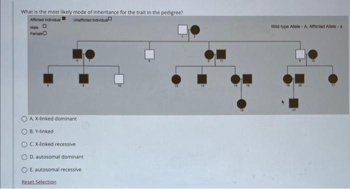 Solved What is the most likely mode of inheritance for the | Chegg.com