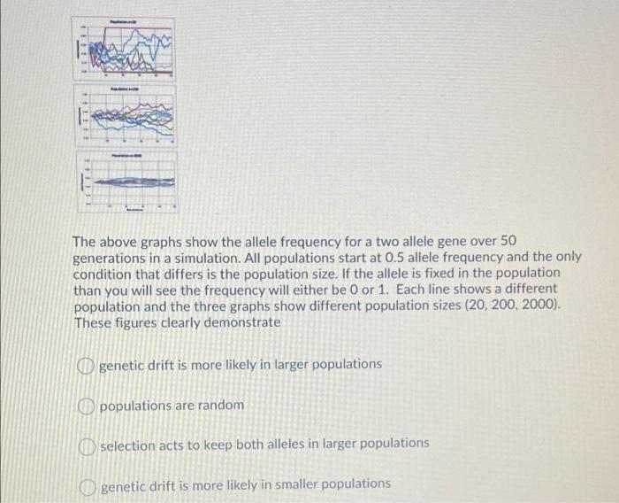 Solved E TE The above graphs show the allele frequency for a | Chegg.com