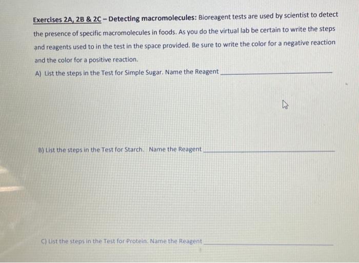 Solved Exercises 2A, 2B & 2C-Detecting macromolecules: | Chegg.com