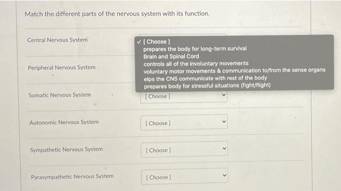 Solved Match the different parts of the nervous system with | Chegg.com