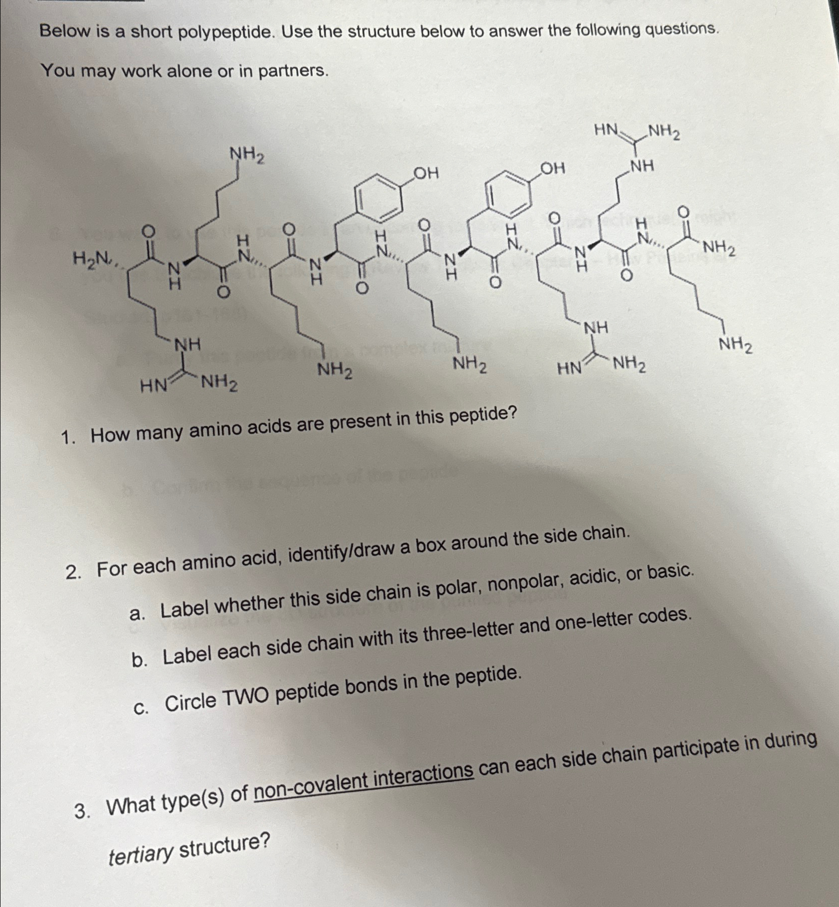 Solved Below is a short polypeptide. Use the structure below | Chegg.com