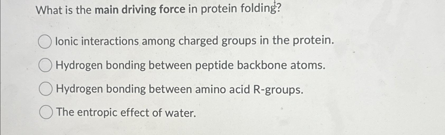 Solved What is the main driving force in protein | Chegg.com