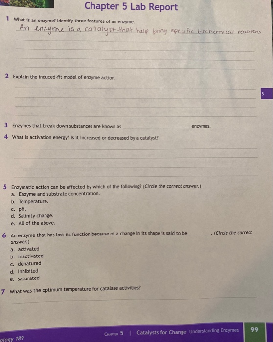 Solved Chapter 5 Lab Report 1 What is an enzyme? Identify | Chegg.com