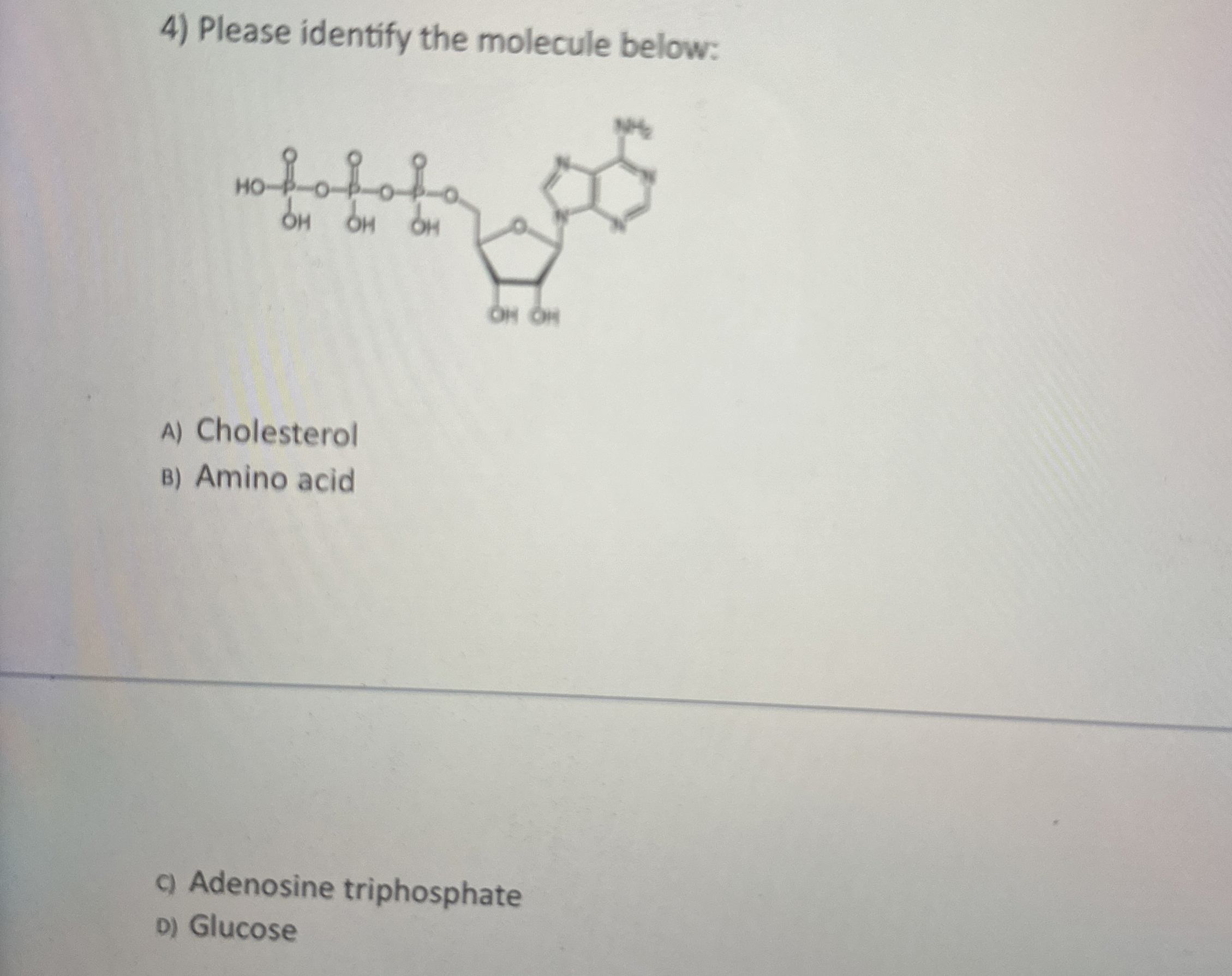 Solved Please identify the molecule below:A) ﻿CholesterolB) | Chegg.com