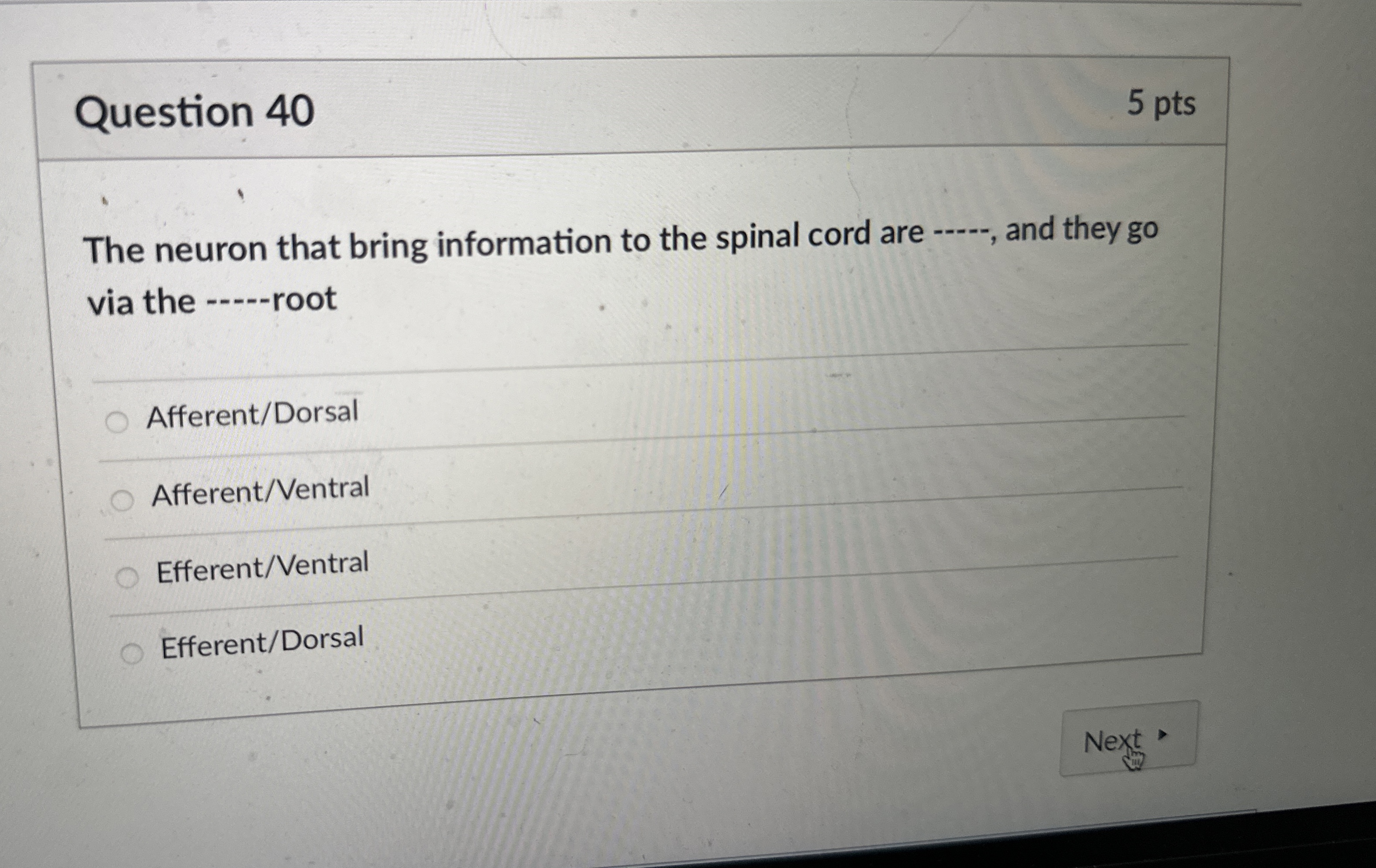 Solved Question 405 ﻿ptsThe neuron that bring information to | Chegg.com